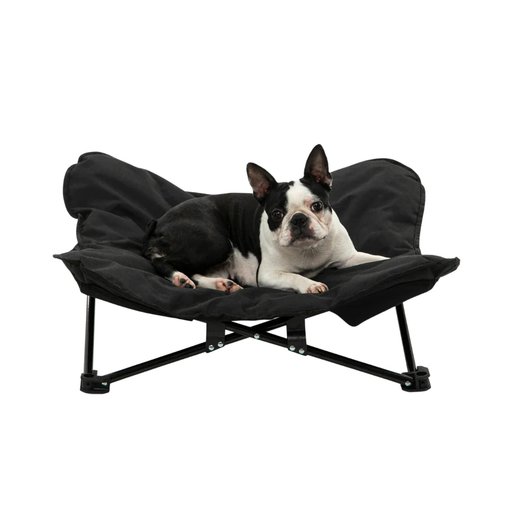 Camping Folding Dog Bed Compact Portable Pet Solutions For Outdoors camping-folding-dog-bed-compact-portable-pet-solutions-for-outdoors